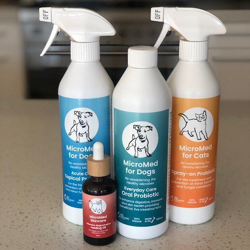 MicroMed Probiotic Treatments – Green Goddess