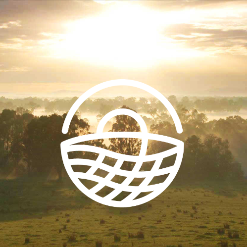 The Open Food Network – Green Goddess