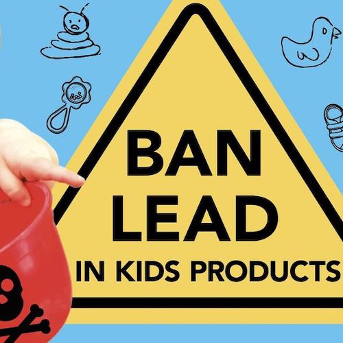 Ban Lead From Kids Products – Green Goddess